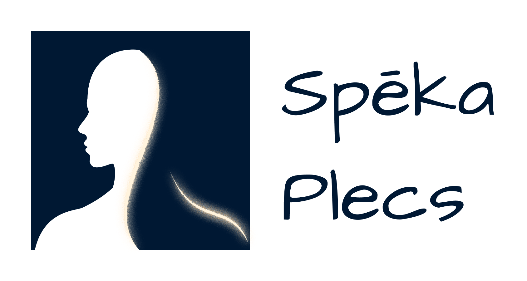 Par projektu – Spēka plecs